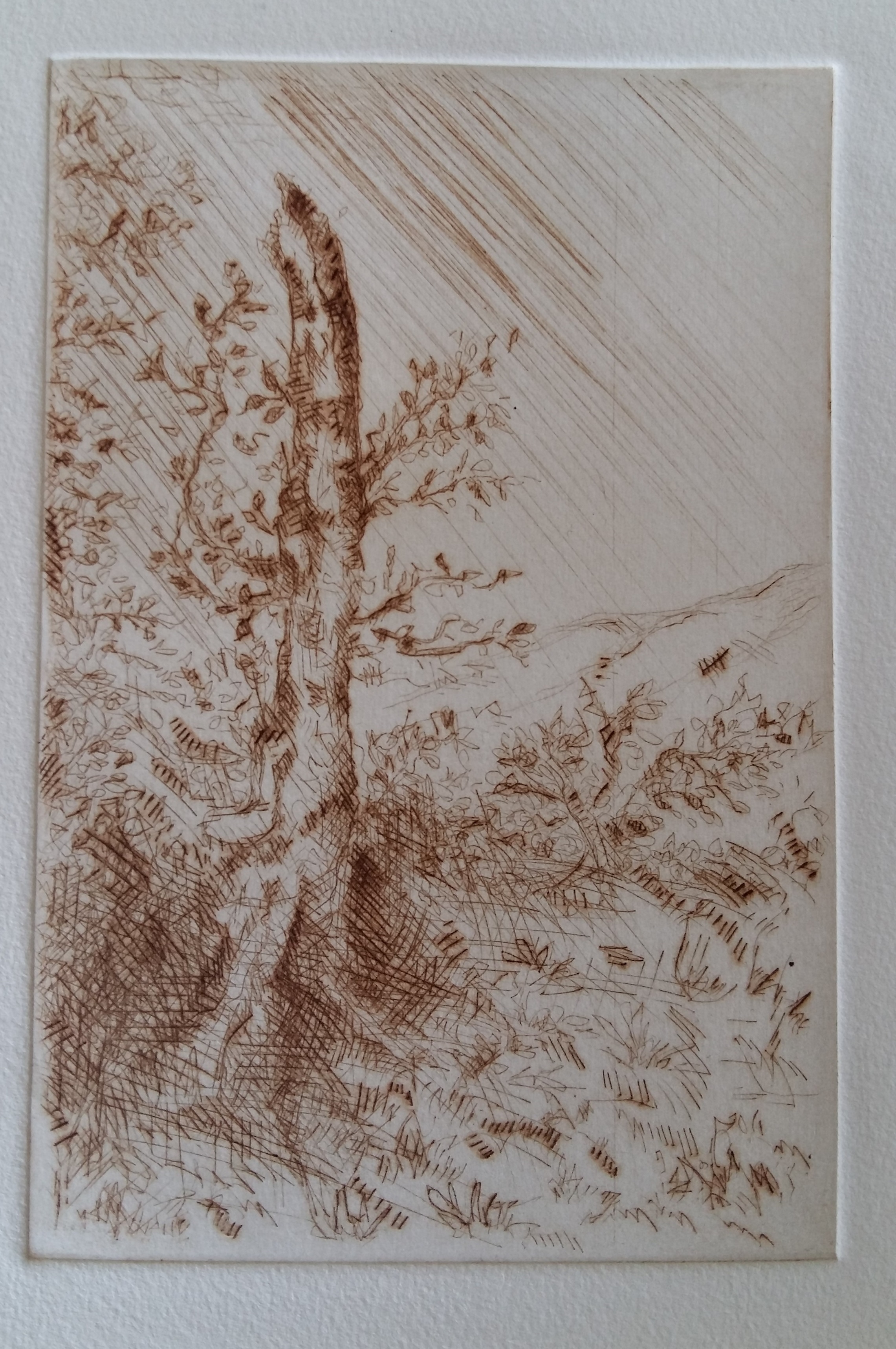 Oeuvres - Gravures